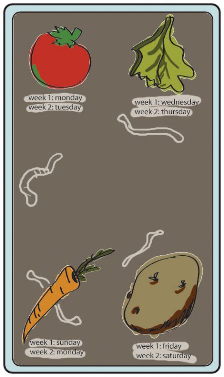 Winter Composting Part 1: Vermicompost! – Craft Leftovers