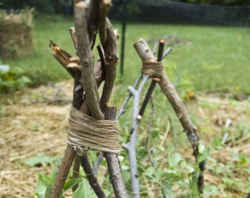 How to: Build a Pea Teepee – Craft Leftovers