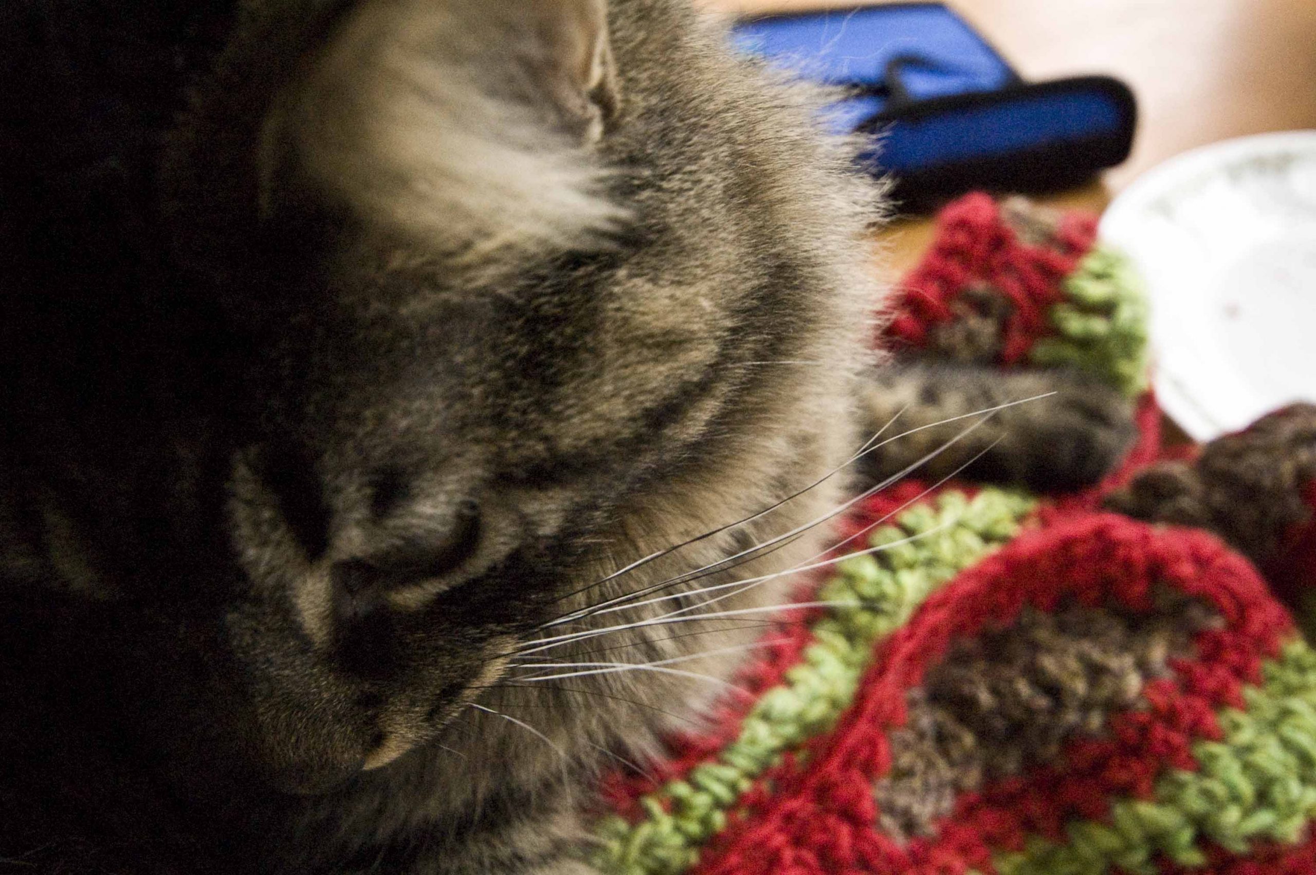 Crochet Mosaic Scarf | Free | A rainbow of colors made from your stash ...